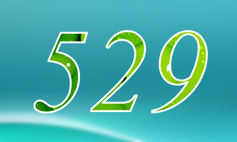 529 529
