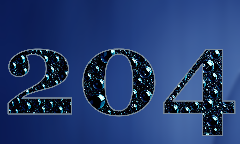204 