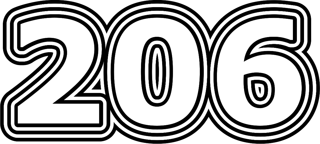 206 