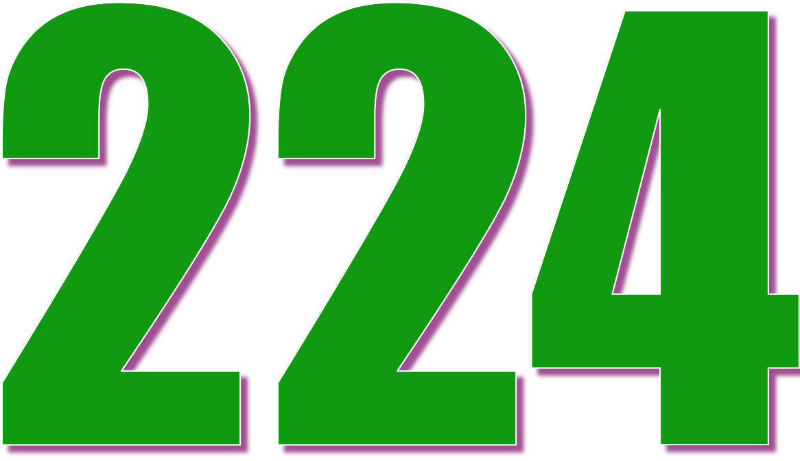 224 
