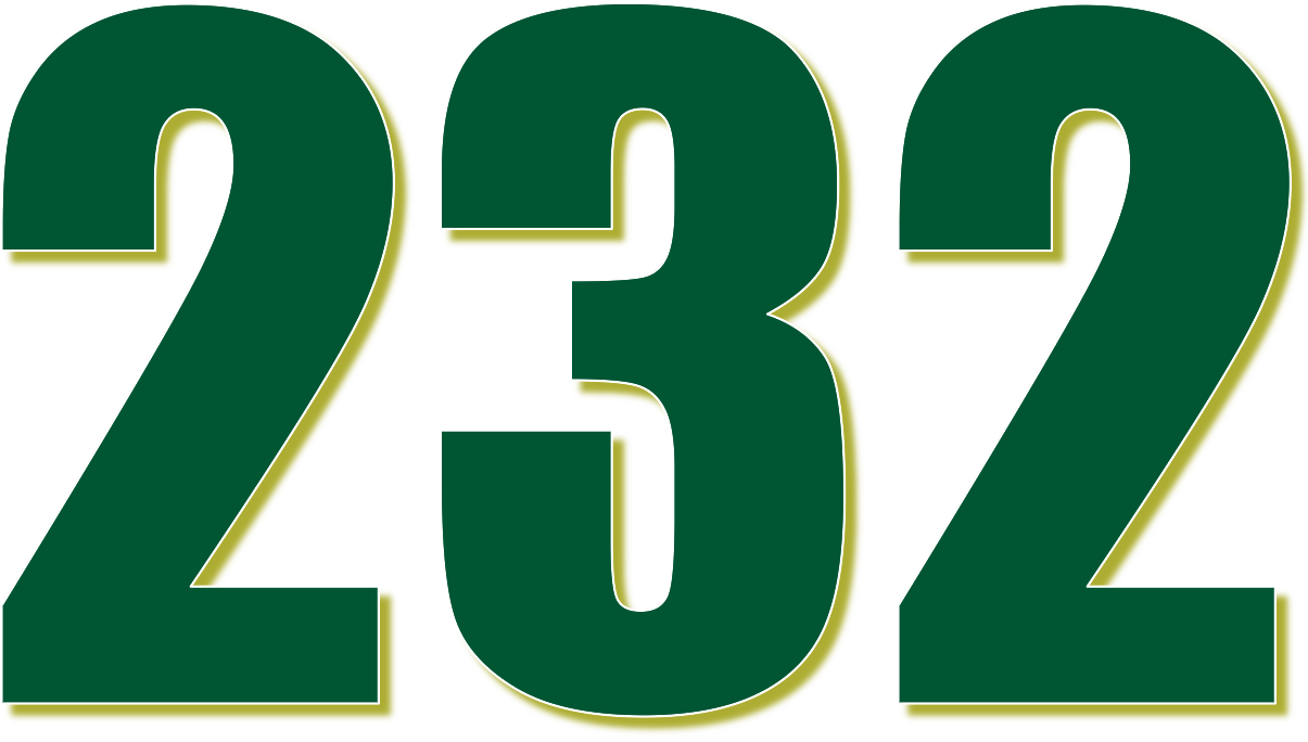 232 232