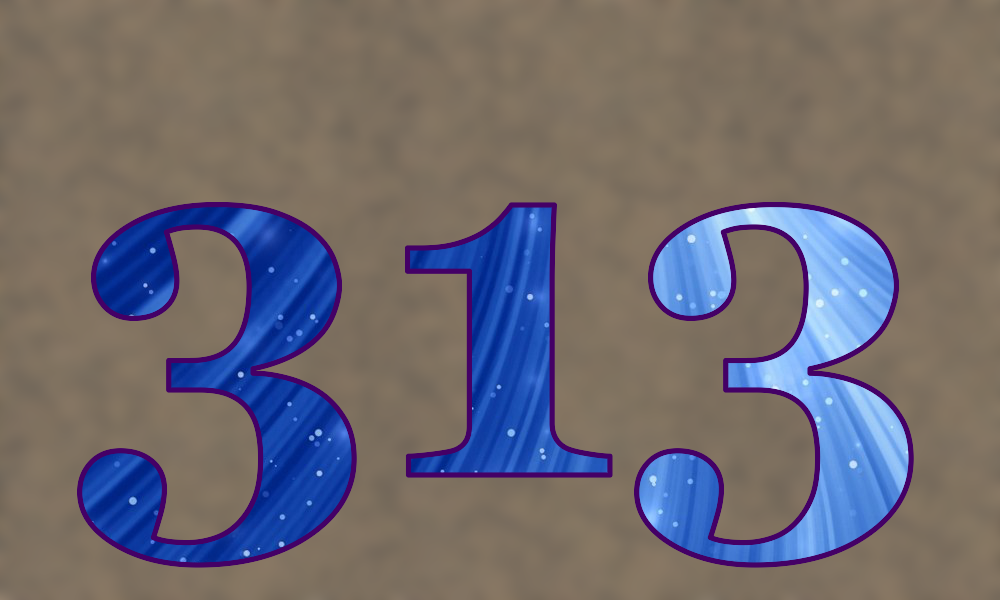 313 65 
