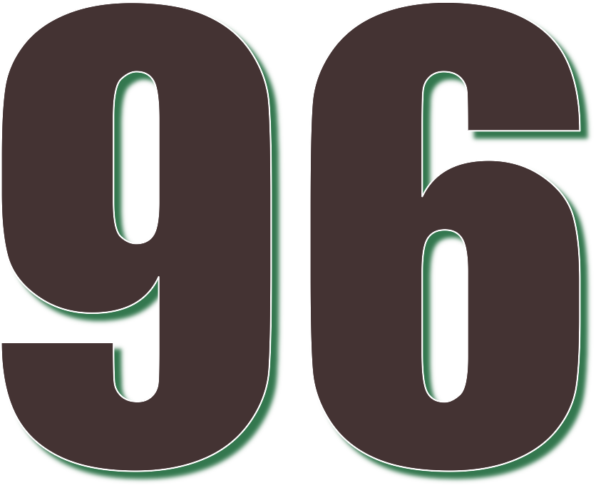 96 
